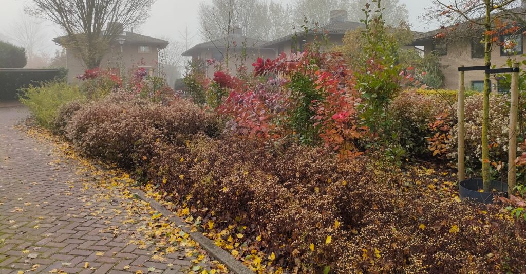 Onderhoudsniveau is bepalend voor de levensduur van beplanting - De ...